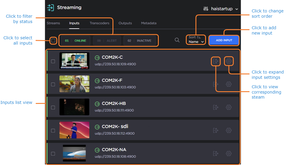 Inputs List View